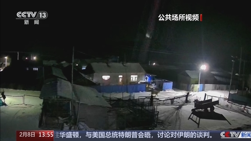 [新闻直播间]一点现场 黑龙江 东北虎进村 未出现人员伤亡