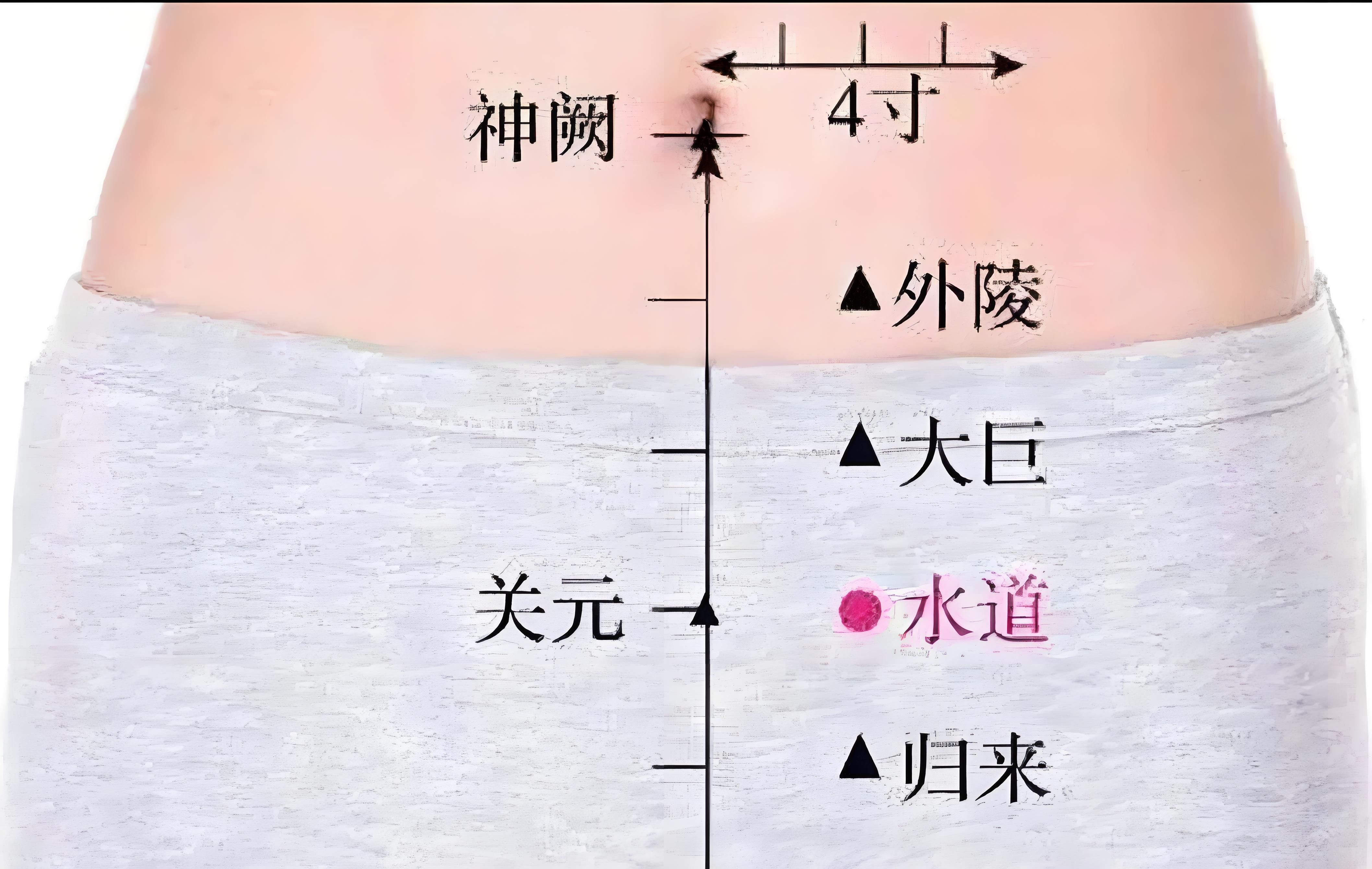 42、足阳明胃经 — 归来穴 — 治疗妇科疾病