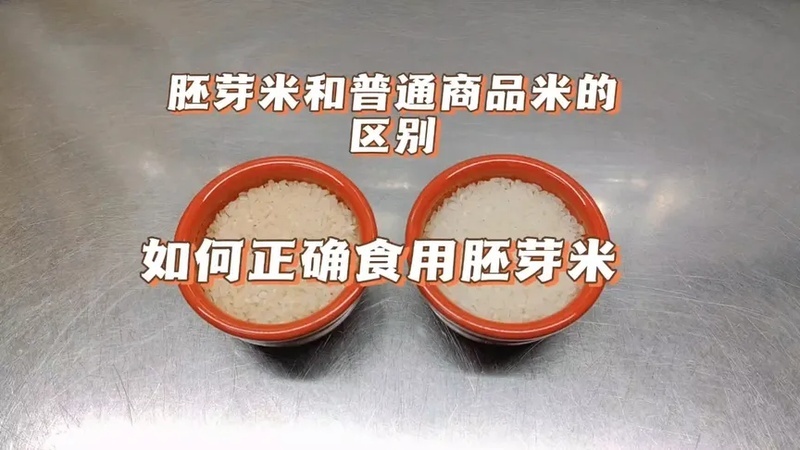 胚芽米和普通米的区别&如何正确食用胚芽米