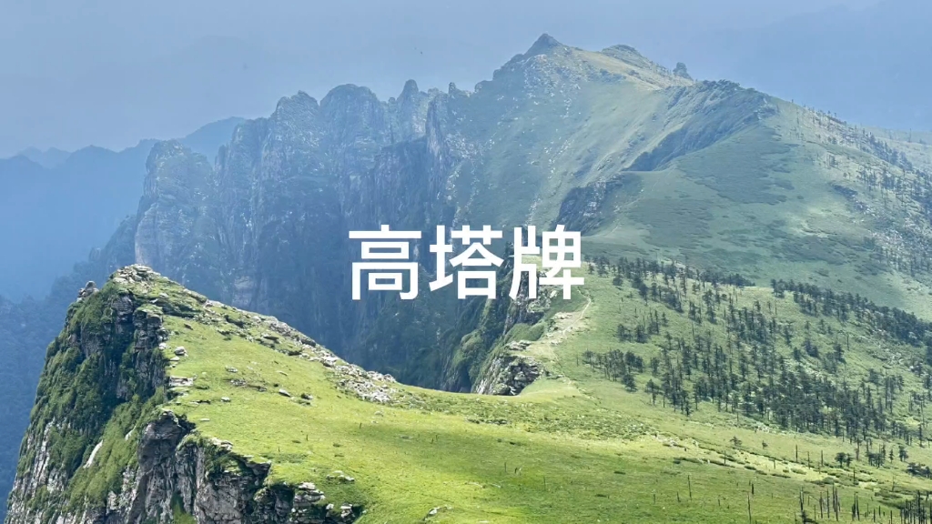 零基础塔罗自学入门学习高塔牌教学#塔罗 #塔罗教程 #塔罗课程