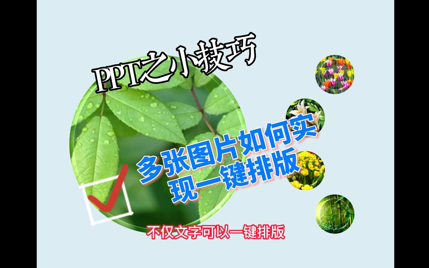 PPT小技巧 多张图片一键快速排版