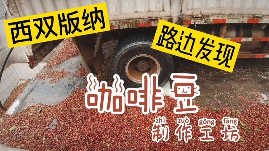 你喝的每粒咖啡豆是如何制作的?西双版纳路边看看咖啡豆制作工坊