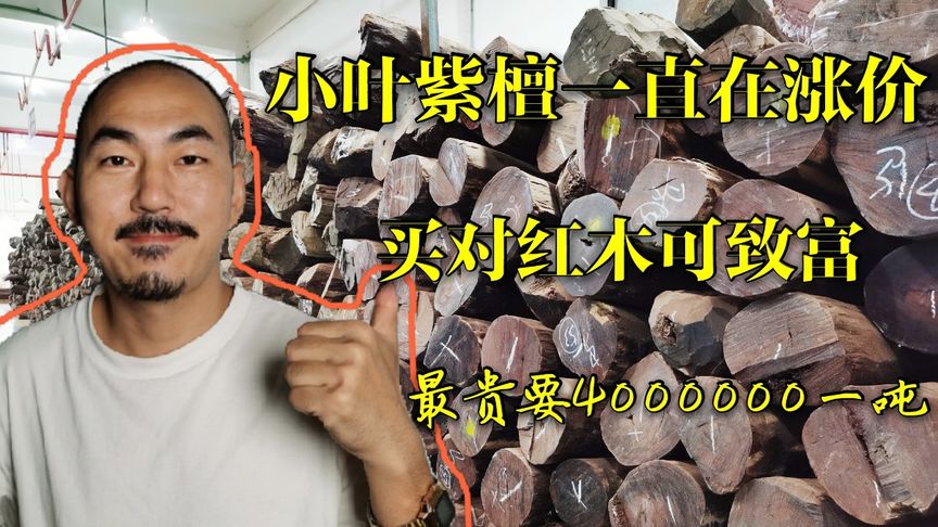 小叶紫檀价格涨不停,紫檀红木最贵4000000一吨,还买不到