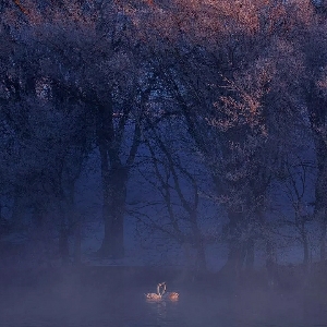 吧唧一口奶黄包v 