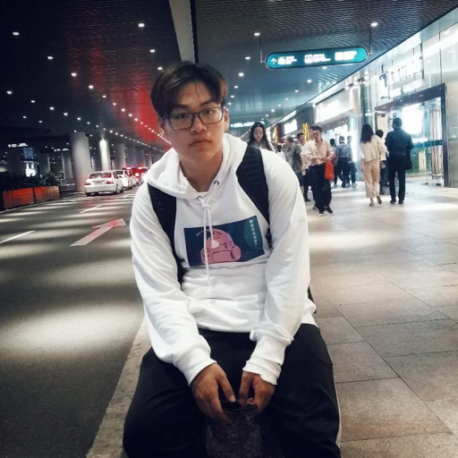 振兴数码 