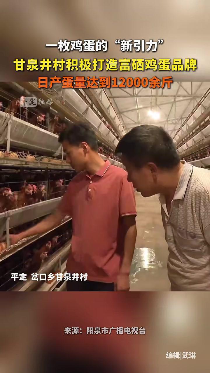 甘泉井村积极打造富硒鸡蛋品牌日产蛋量达到12000余斤