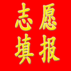 高考志愿填报白老师 