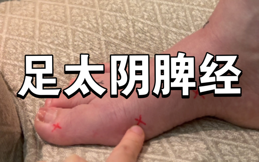 穴位定位|足太阴脾经|自用!无教学意义
