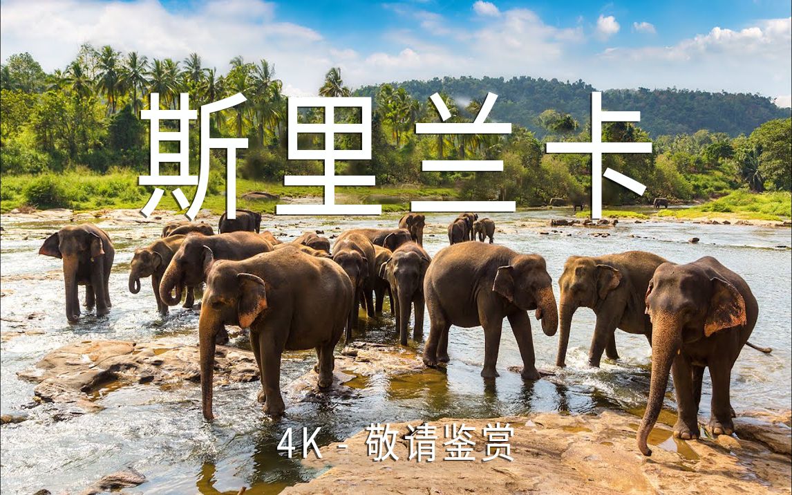 【Sri Lanka斯里兰卡 4K】印度洋的一滴眼泪