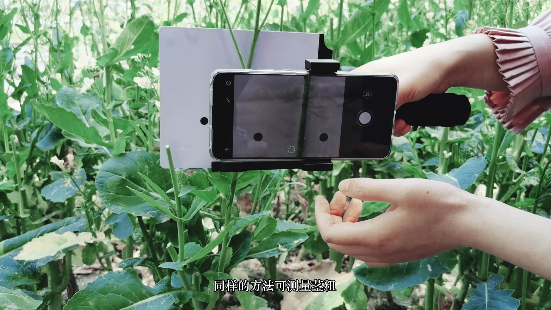 【托普云农】作物夹角测量仪操作使用教程
