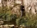 178个AAAAA级景区——湖南张家界