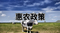 奶牛标准化规模养殖场有哪些条件?你知道吗?