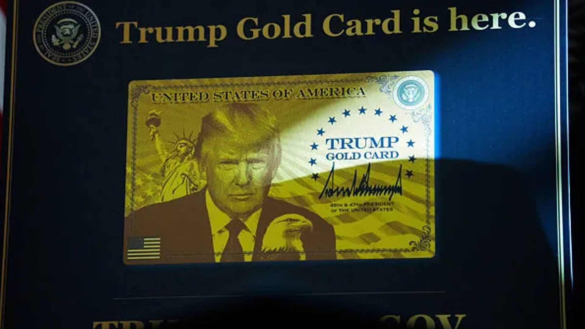 "特朗普黄金卡"开始接受申请
