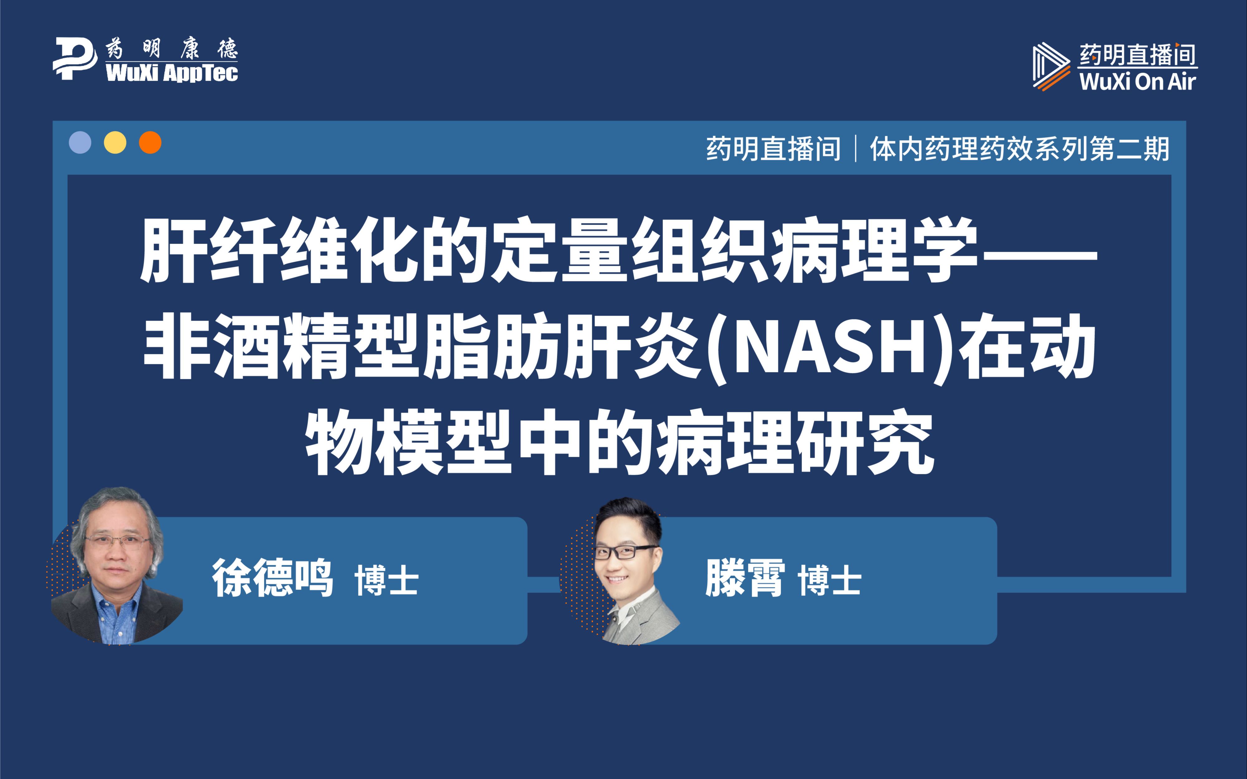 ...肝炎(NASH)在动物模型中的病理研究——肝纤维化的定量组织病理学