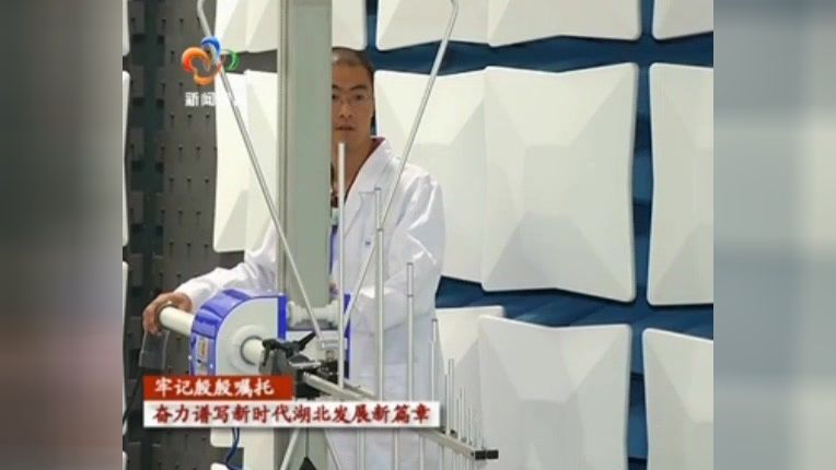 武汉三个检验检测国家中心通过CB实验室国际评审