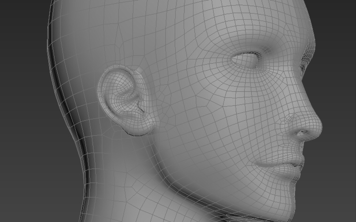 作业,人头模型制作过程