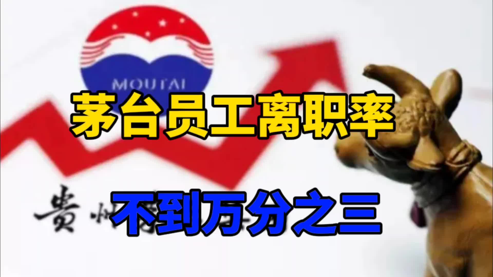 茅台董秘:员工离职率只有万分之三 #茅台 #集团公司 #上市公司 #员工 ...