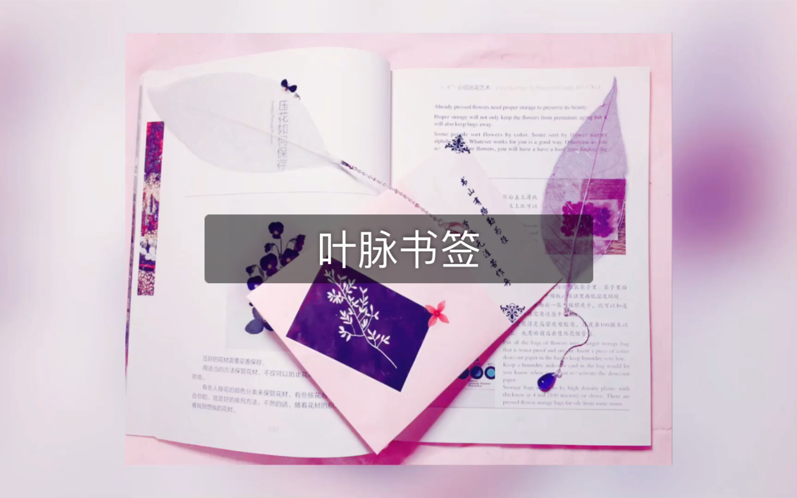 【叶脉书签】不会刻章,用热敏转能印纸,做文字叶脉书签——空姐菜菜...