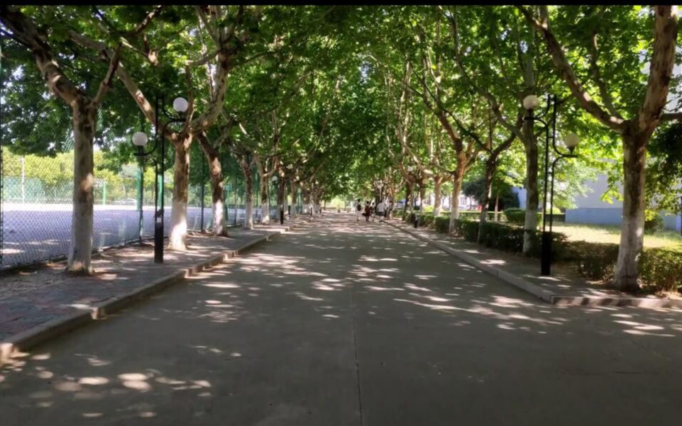 南京理工大学紫金学院公共事业管理专业宣传视频