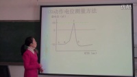 静息电位和动作电位的形成机制微课视频~3