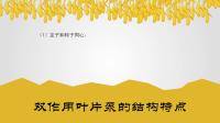 2.3双作用叶片泵和单作用叶片泵的区别