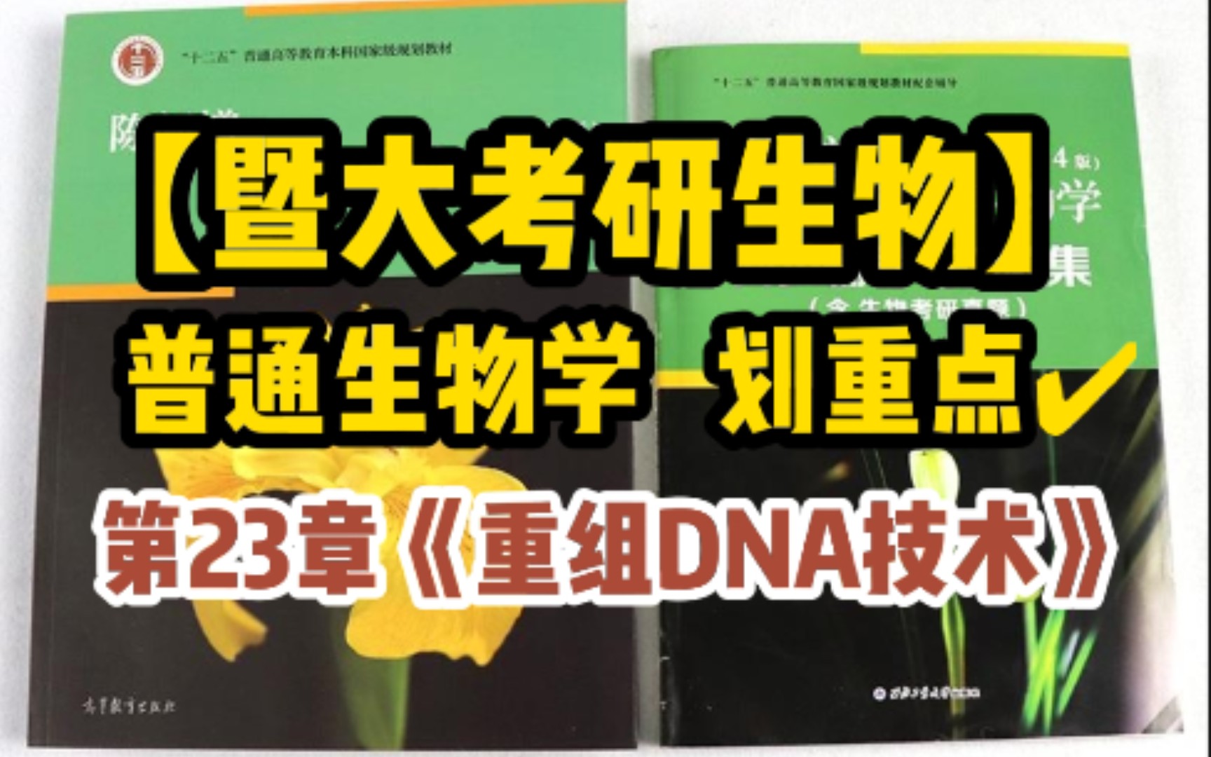 【暨南大学生物考研】普通生物学划重点:第23章《重组DNA技术》
