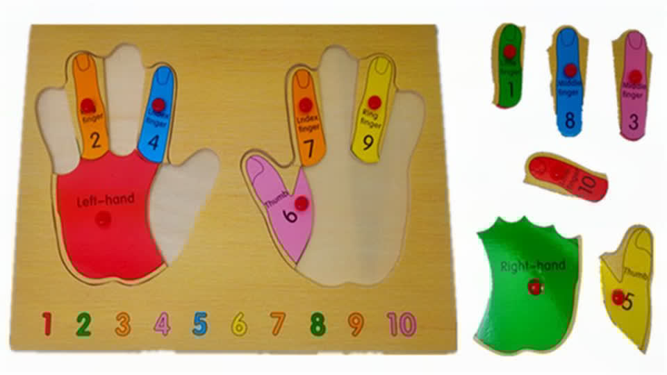 数字积木玩具,认知左右手