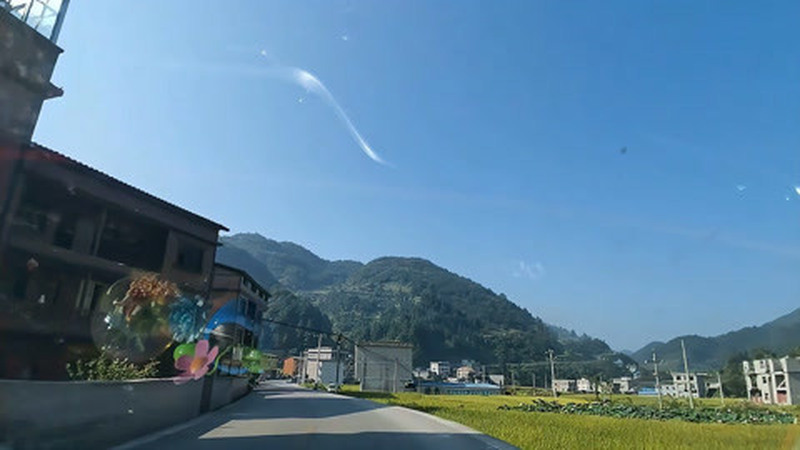 贵州农村真美,鸟语花香美丽稻田,这比城市舒服多了!