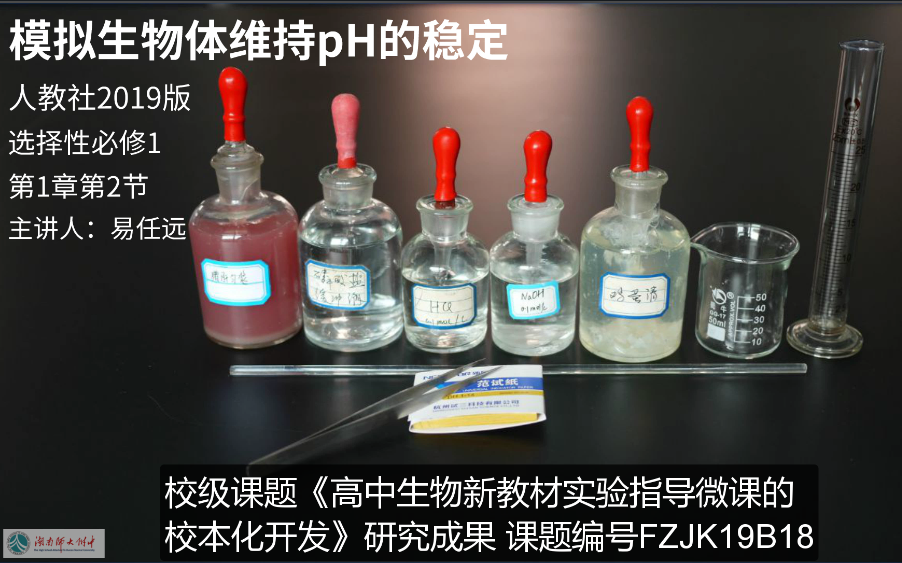 模拟生物体维持pH的稳定—2019版