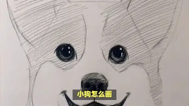 小狗怎么画?跟着跟着步骤学,画出可爱小萌宠