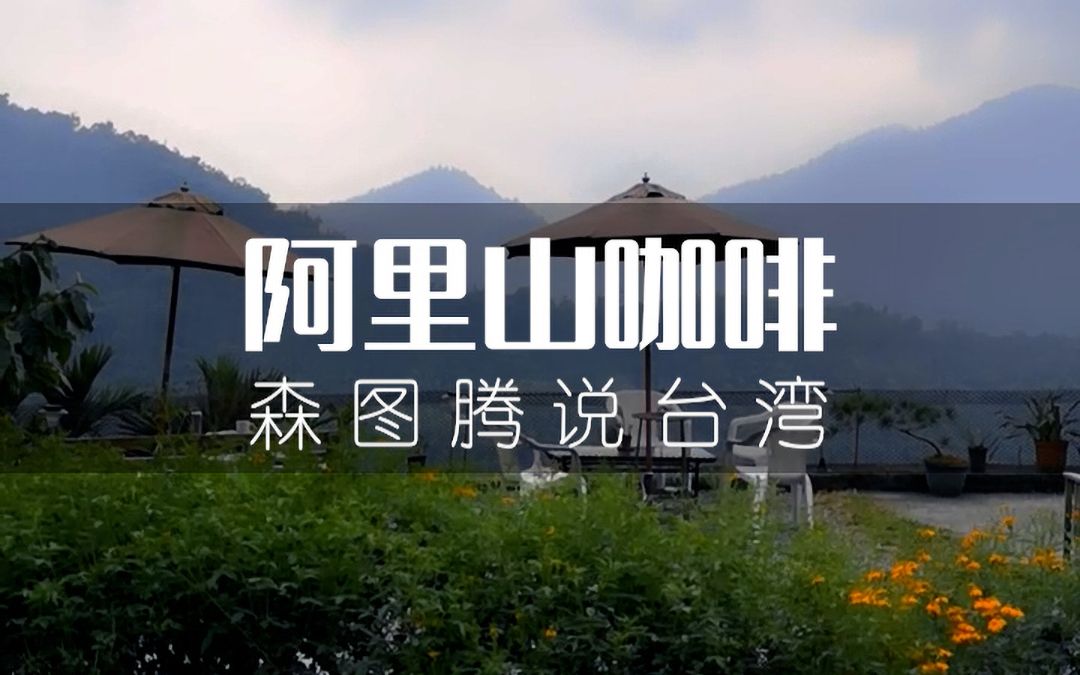 思窝森图腾:到阿里山旅游,品尝阿拉比卡种咖啡在此的独特味道