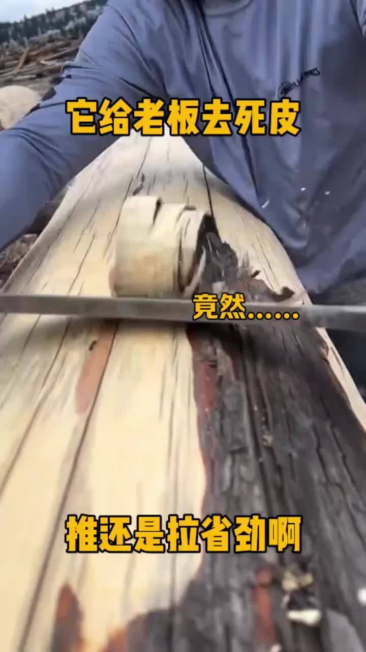 用它给老板去死皮!