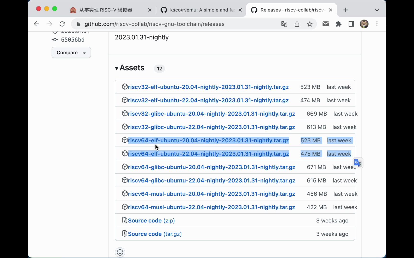 ...开发环境、初始化项目 - 《KSCO老师带你手搓RISC-V高性能模拟器》