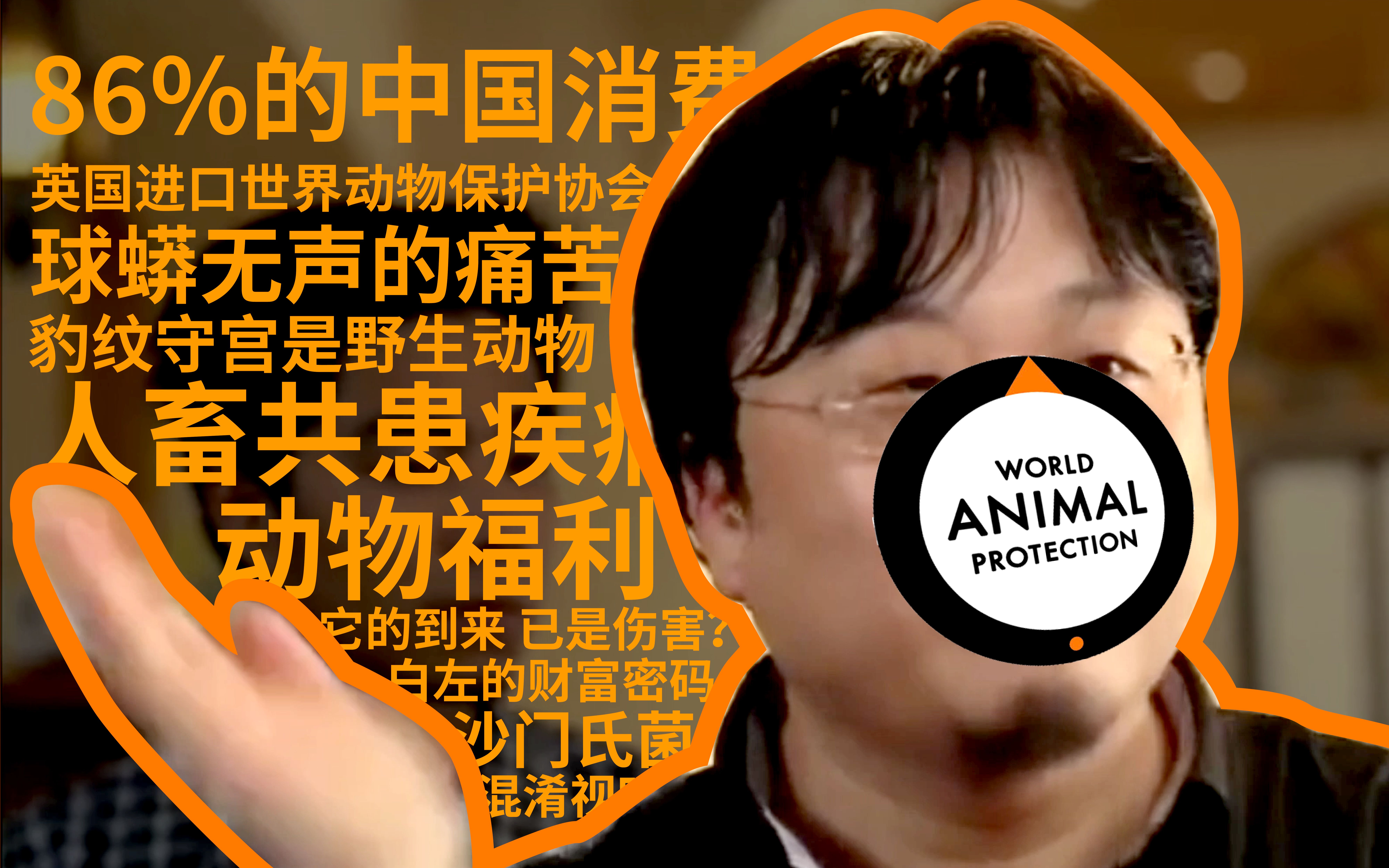 【世界动保协会】教你颠覆中国爬宠行业