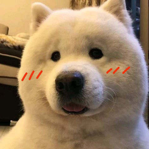 骑驴de马 