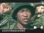 自卫反击战地记者实录