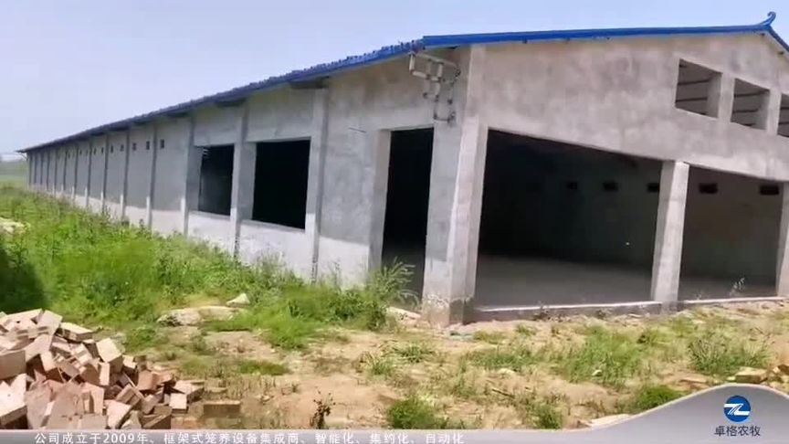 场地建设完工#自动化养鸡设备 一#养鸡厂设备 #养鸡设备厂家#蛋鸡