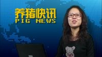 【养猪快讯】黑龙江发现猪感染甲型H1N1流感病毒【蓝海视频工作室】
