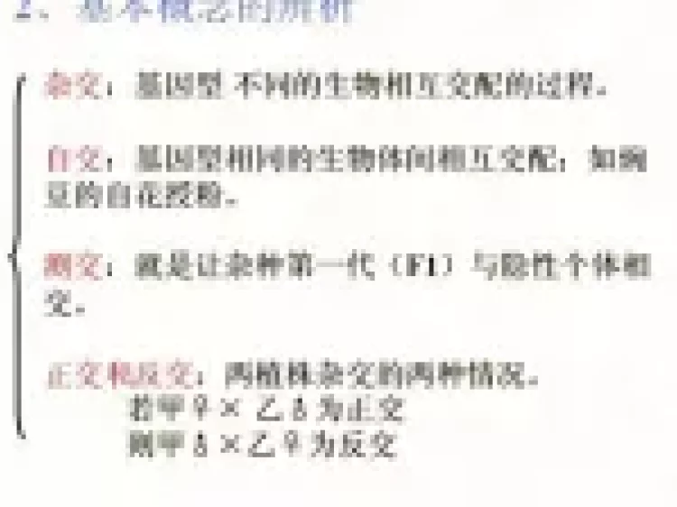 汉水丑生 高中生物 必修二 分离定律全集(新课习题课解题技巧)