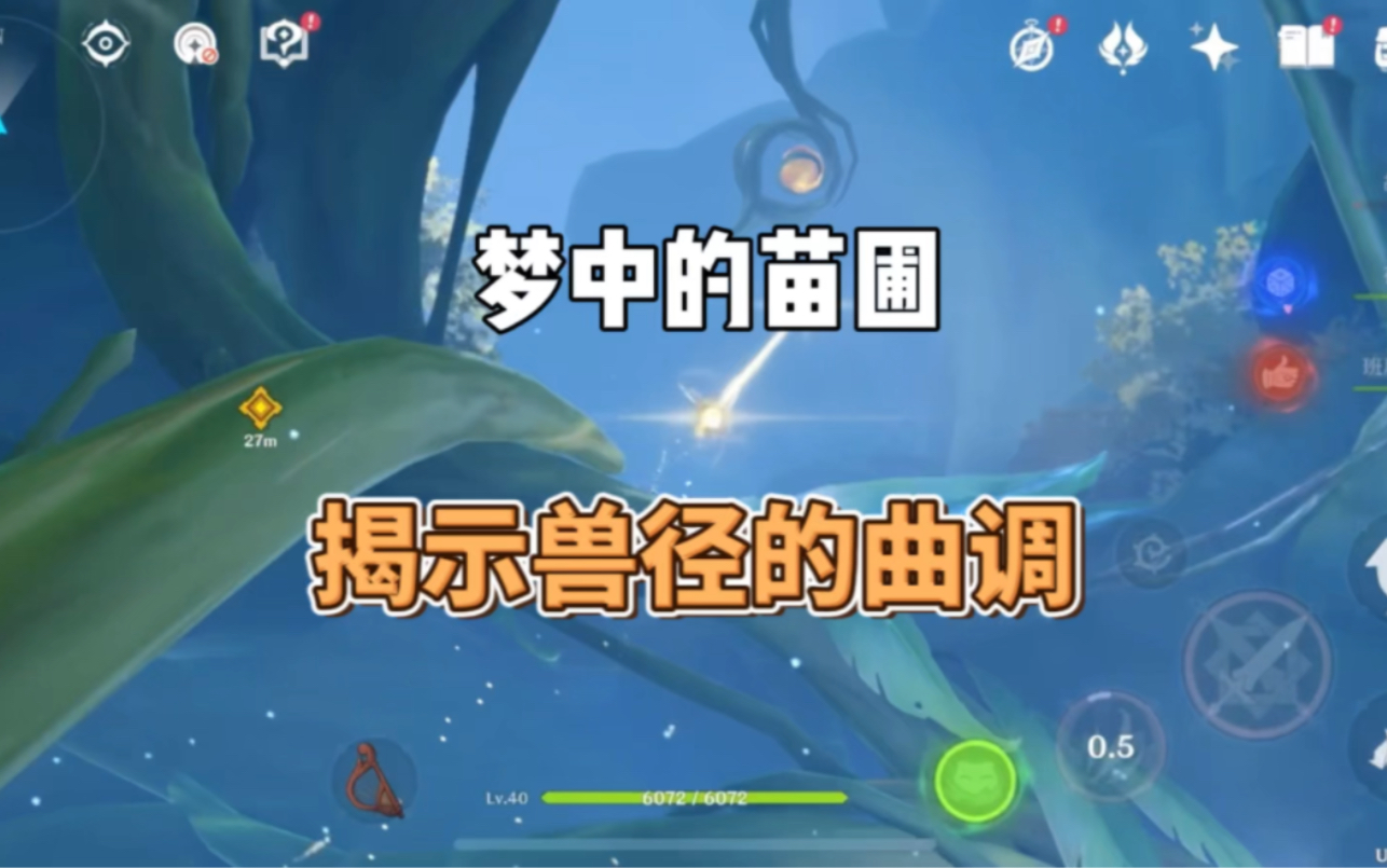 原神须弥:梦中的苗圃,森林中的孩子们,与兰那罗一同冒险---揭示兽径的...