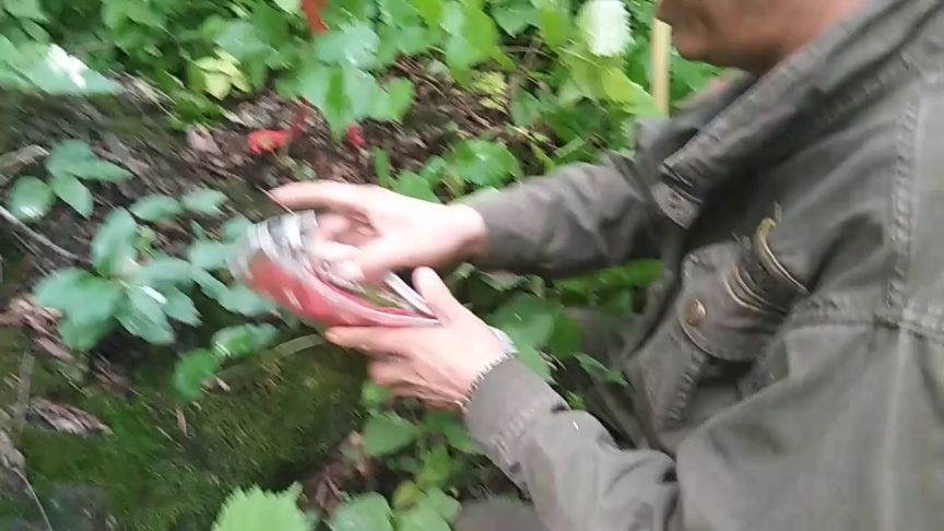 长白山脉,挖野山参,需要哪些工具,都有什么作用?