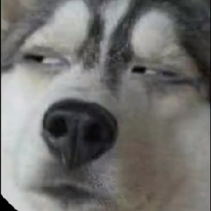 晋王袁熙 