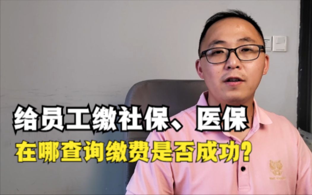 给员工缴纳社保、医保,在哪查询缴费是否成功?