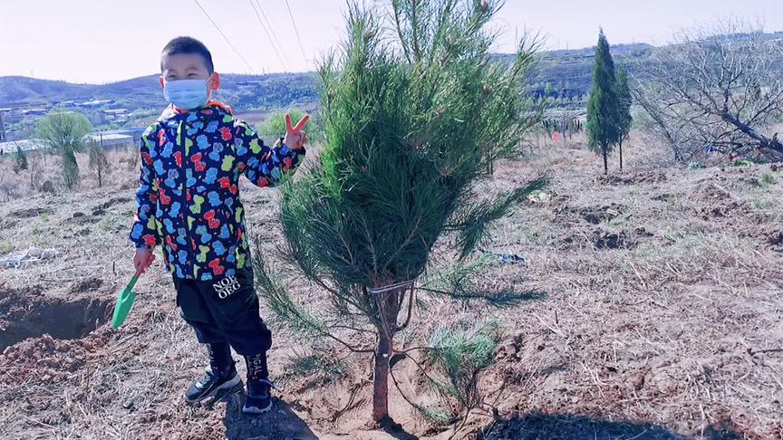 植树造林ߌ�从小做起ߌ�#植树造林 #干活我是认真的