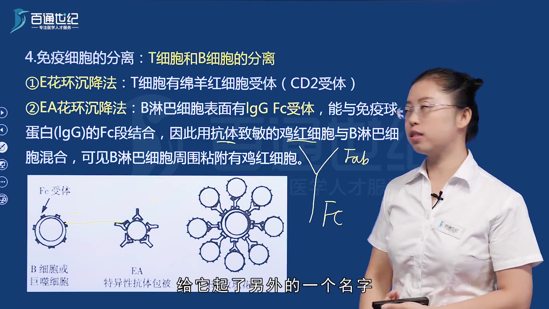 卫生职称 - 检验 - T、B淋巴细胞的分离