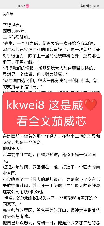 《天生首领》罗因二毛平行世界。西历3899年。二毛首都辅机。“...
