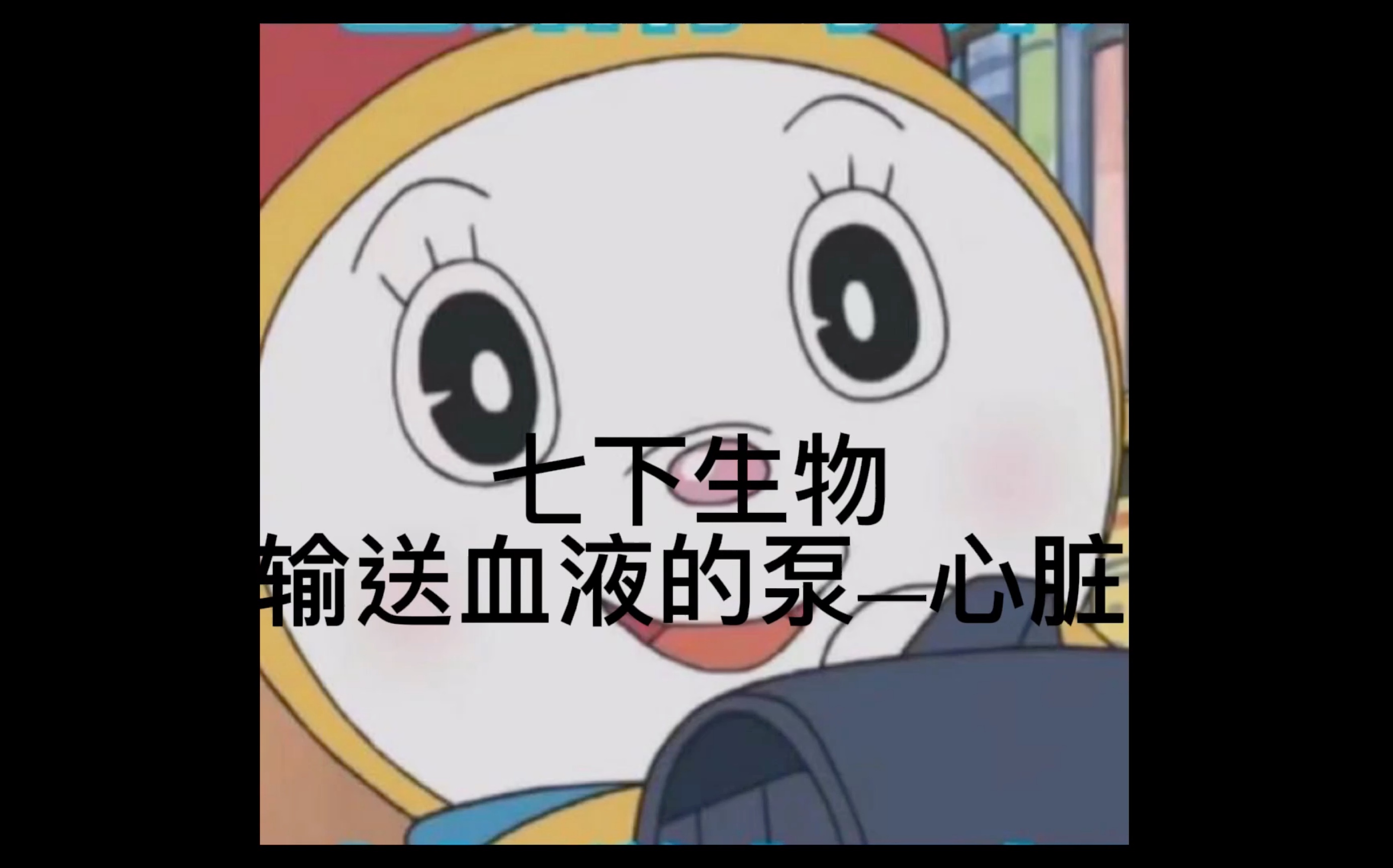 七下生物:输送血液的泵—心脏