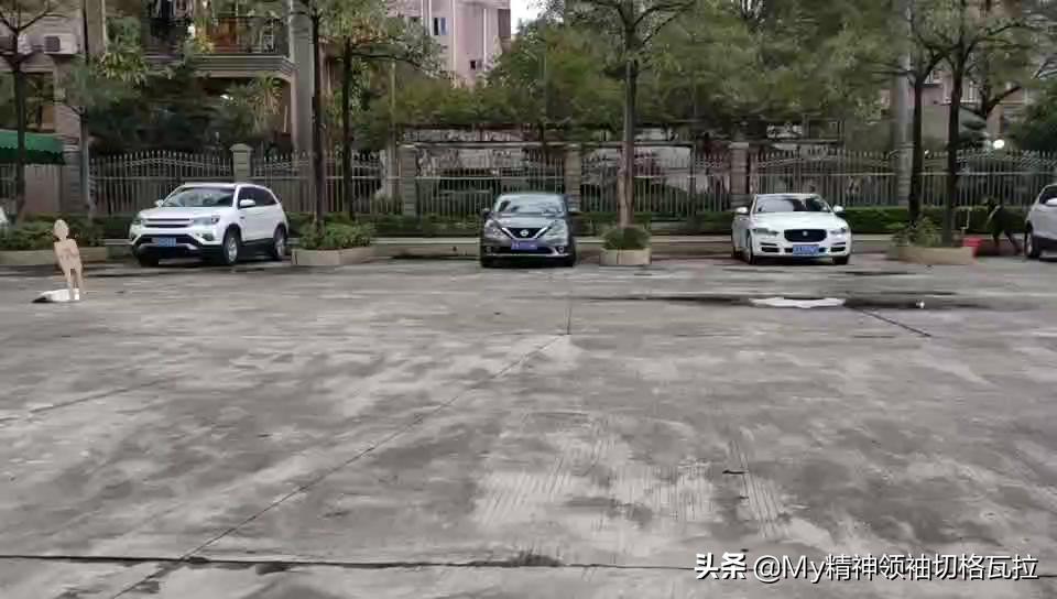 比亚迪宋pro 主动刹车失败,笑出猪声,主动刹车真的不安[捂脸]