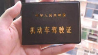 人大代表提出取消机动车驾驶证?网友:举双手双脚赞成!