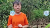 苹果与梨营养多, 这些作用你知道吗
